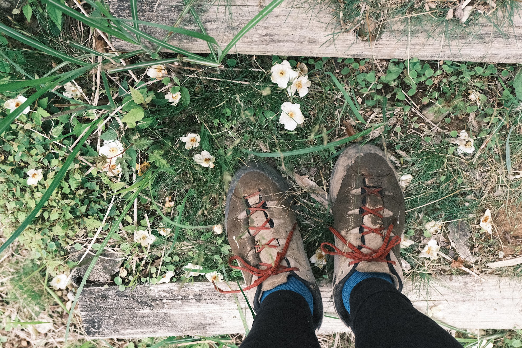 足に合う登山靴とは？スペインのロングトレイルでの奇妙な体験｜Tolotolo field note ｜とろとろ フィールドノート