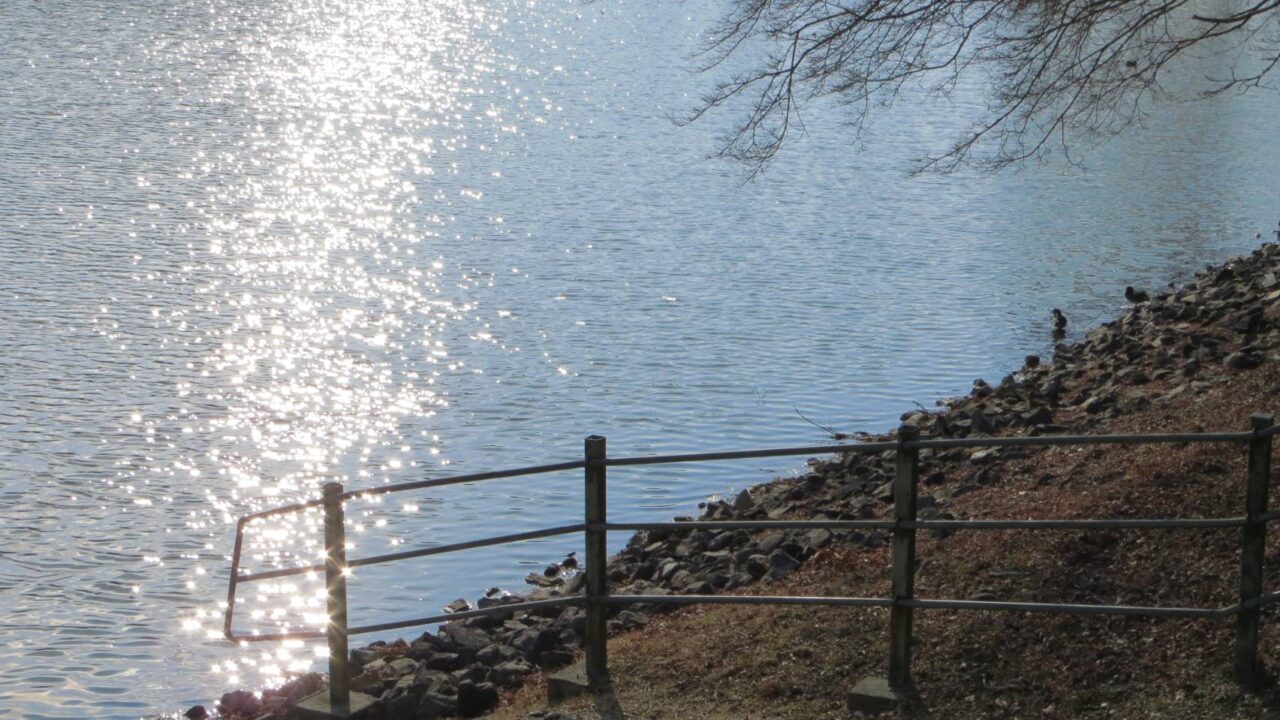 下界日記｜奈良がますますすき｜Tolotolo field note ｜とろとろ フィールドノート