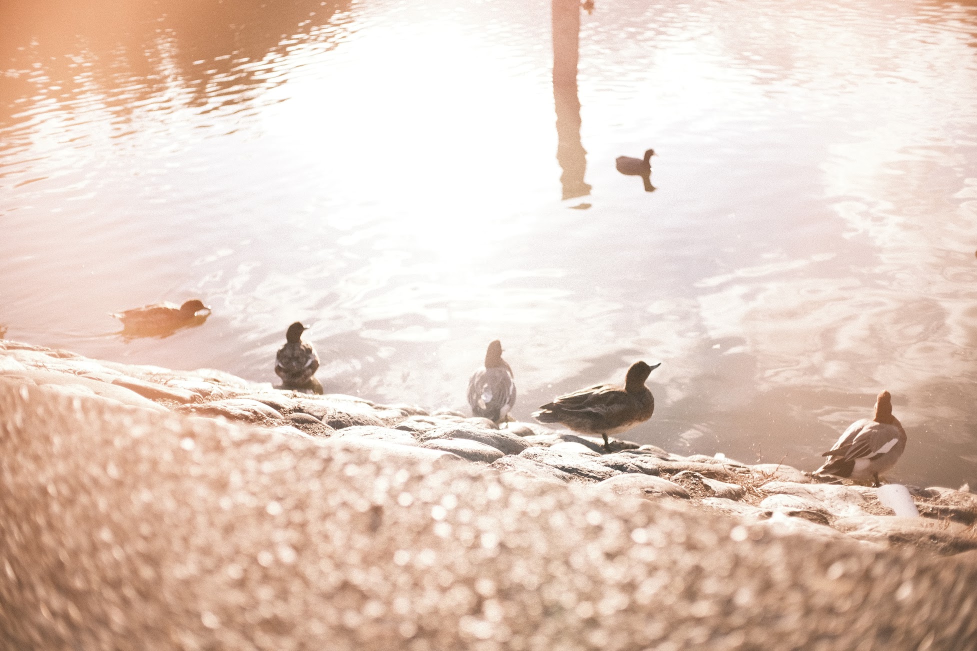 下界日記｜圧倒的に足りてないもの｜Tolotolo field note ｜とろとろ フィールドノート