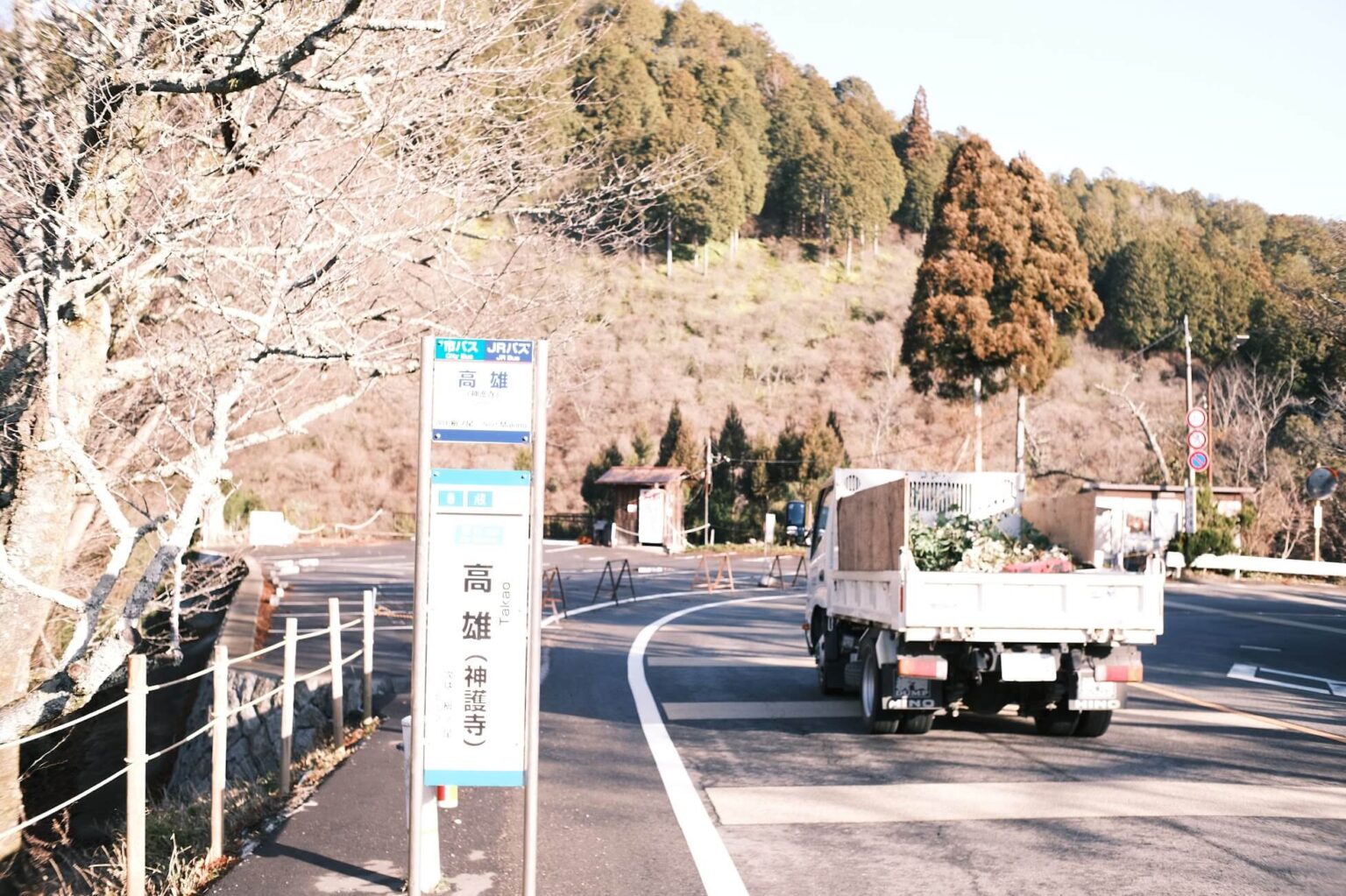 3泊4日の京都トレイル｜最終日(北山西部コースと西山コース)｜Tolotolo field note ｜とろとろ フィールドノート