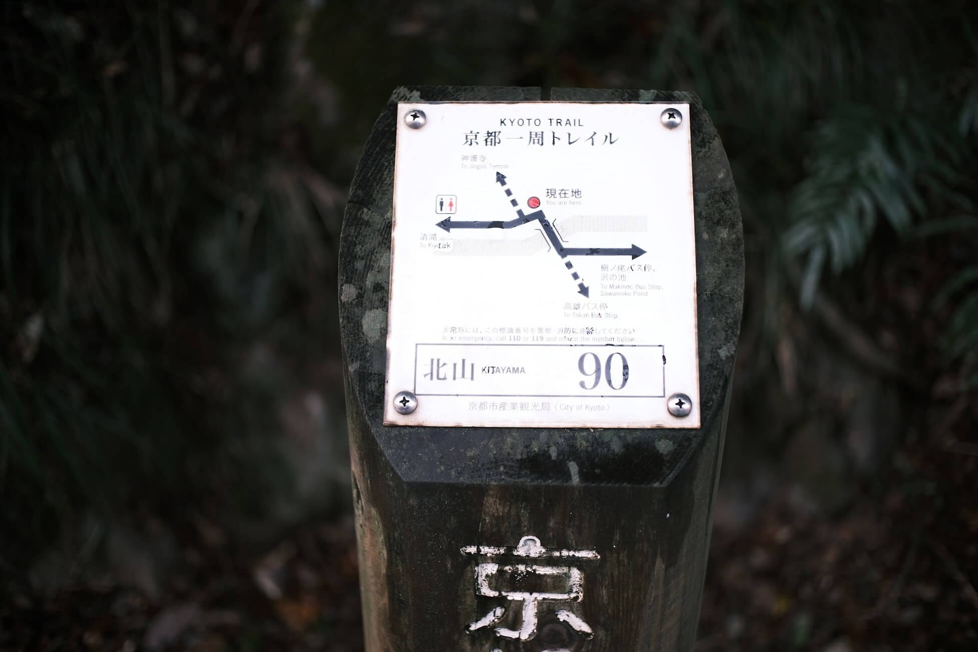 3泊4日の京都トレイル｜最終日(北山西部コースと西山コース)｜Tolotolo field note ｜とろとろ フィールドノート